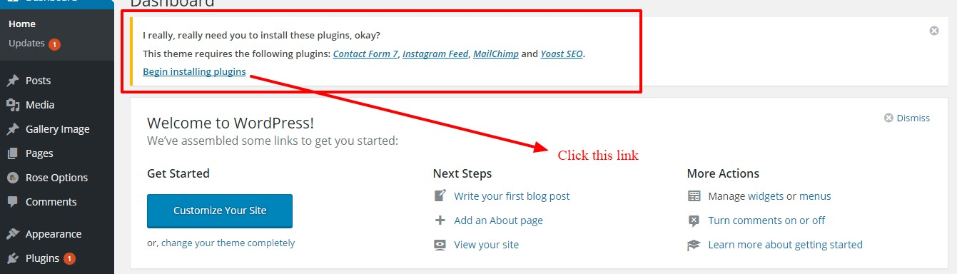Install The Required Plugins – Documentation | wpninjaDevs